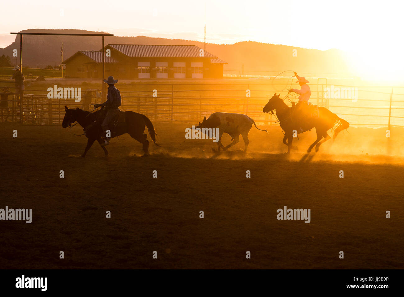 Cowboy lassoing hi-res stock photography and images - Alamy