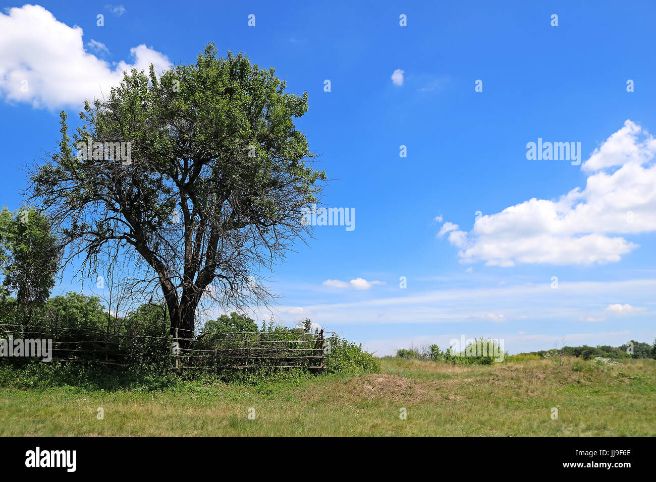 The big banyan tree village hi-res stock photography and images - Alamy