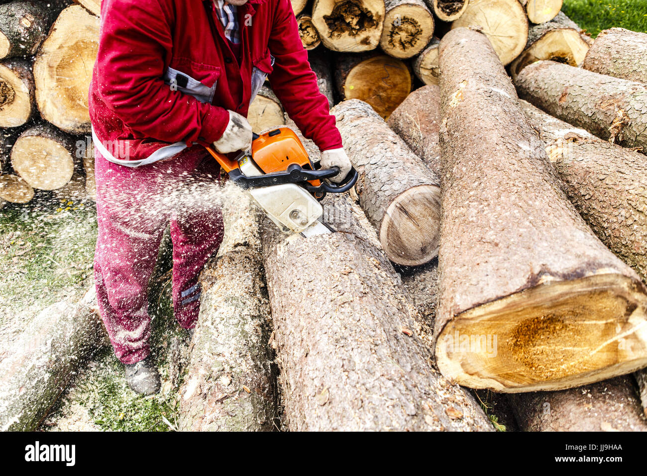 Man sawing a log in his back yard with orange saw Stock Photo - Alamy