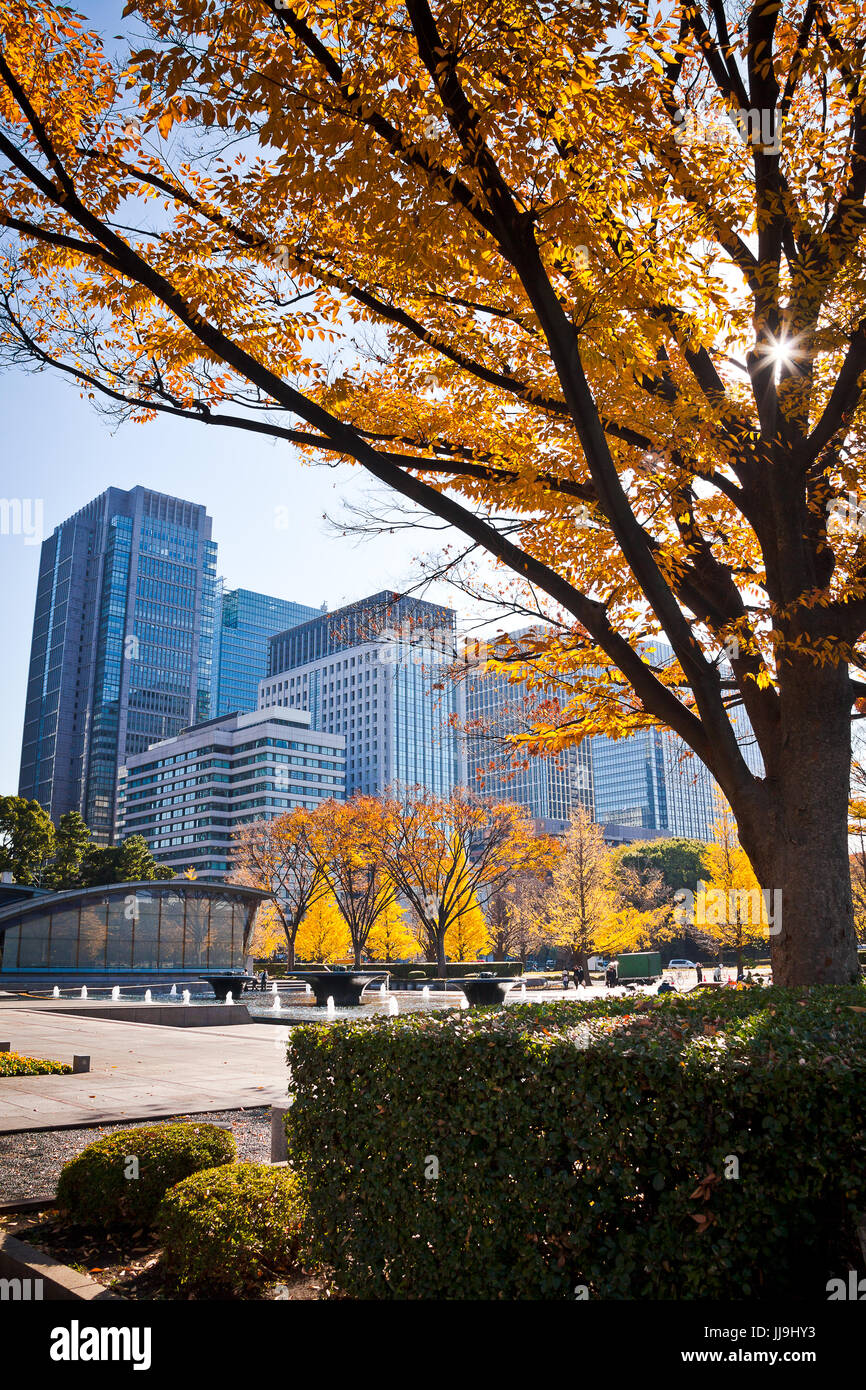 Wadakura Fountain Park glows golden with the colors of autumn, Tokyo ...