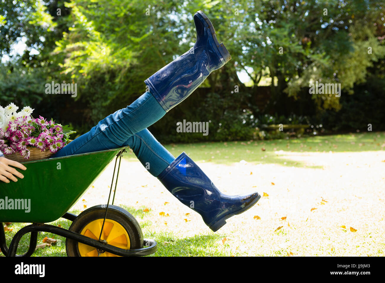 Woman wheelbarrow summer garden hi-res stock photography and images - Alamy