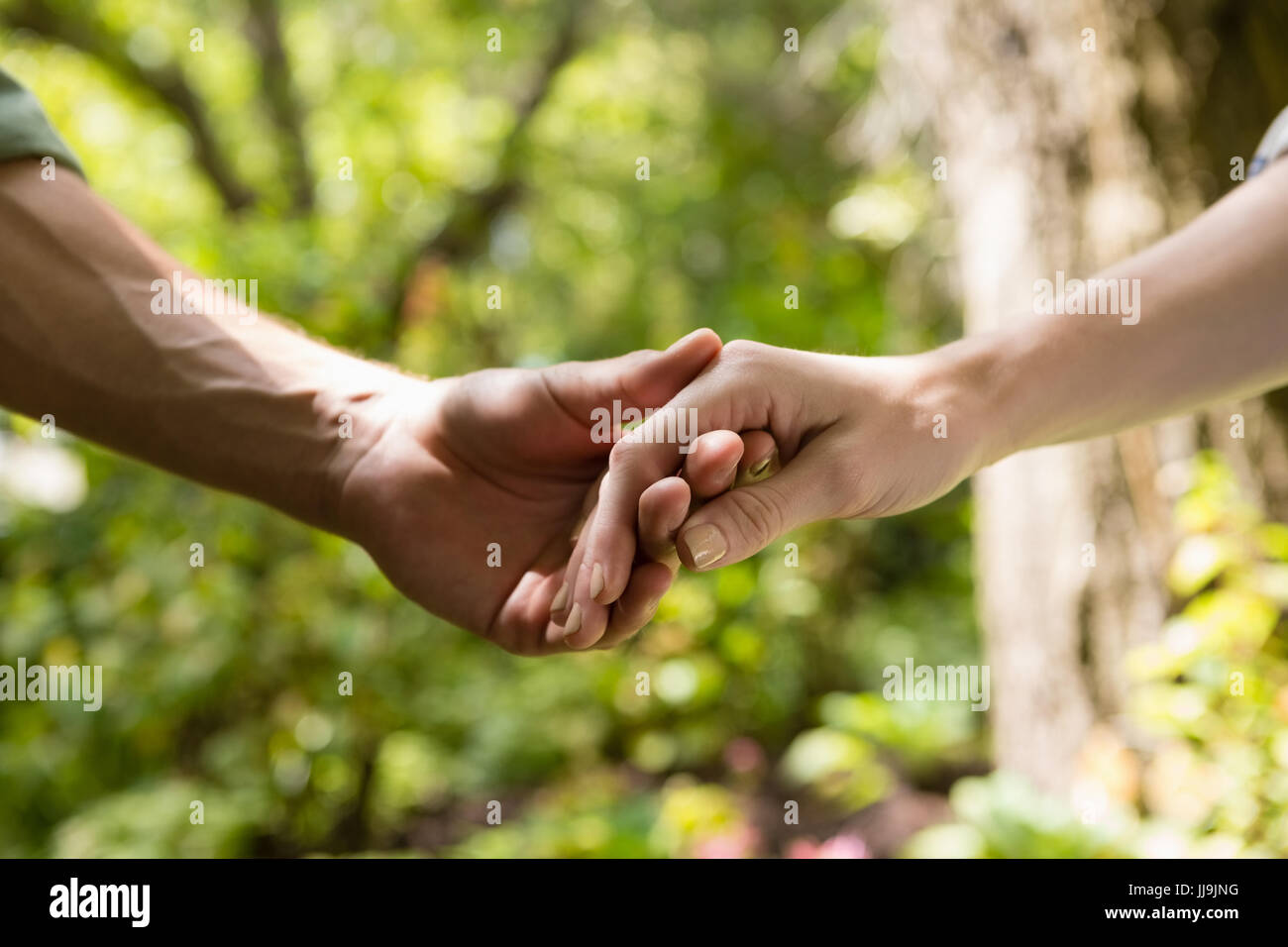 Hand of couple holding hands in garden Stock Photo - Alamy