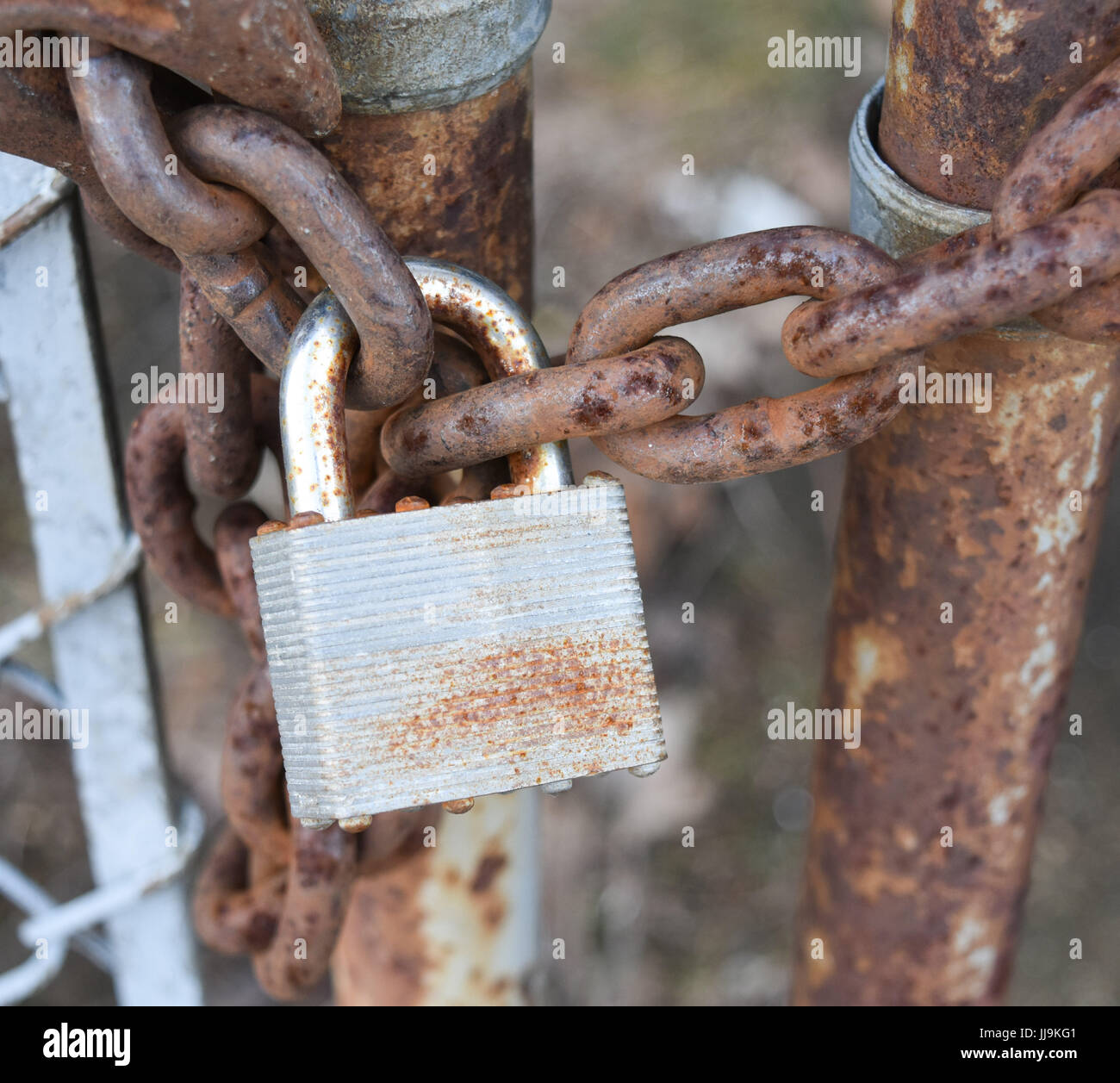 Detail of a padlock on a chain link fence Stock Photo - Alamy