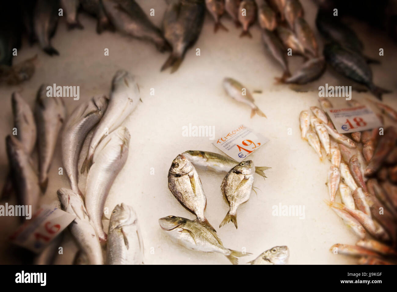 Small fishes on display hi-res stock photography and images - Alamy