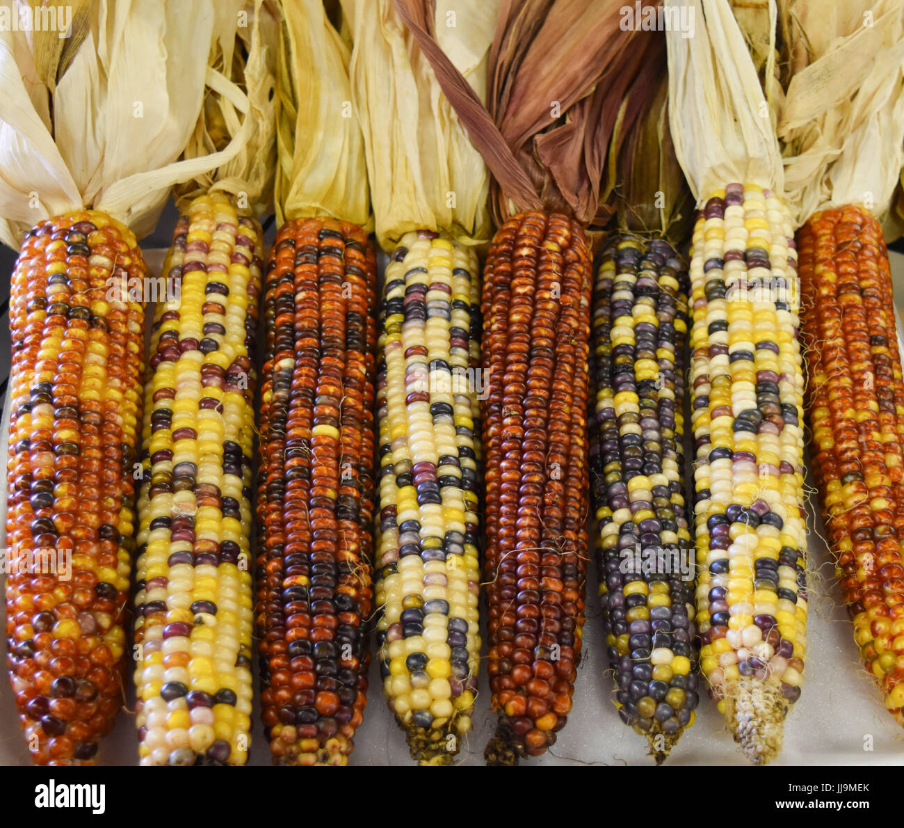 Multi color corn on display Stock Photo - Alamy