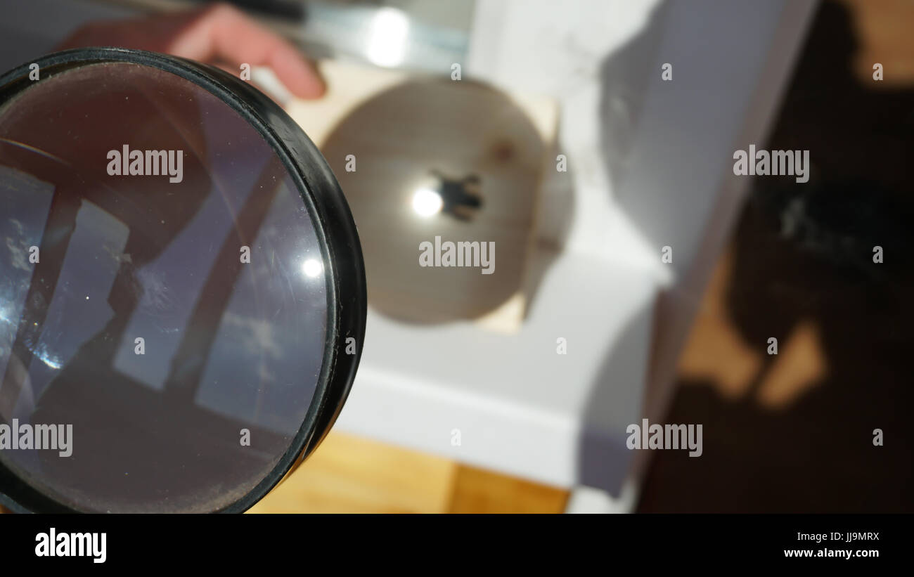 Sunlight focused by a converging magnifying glass can burn wooden bar ...