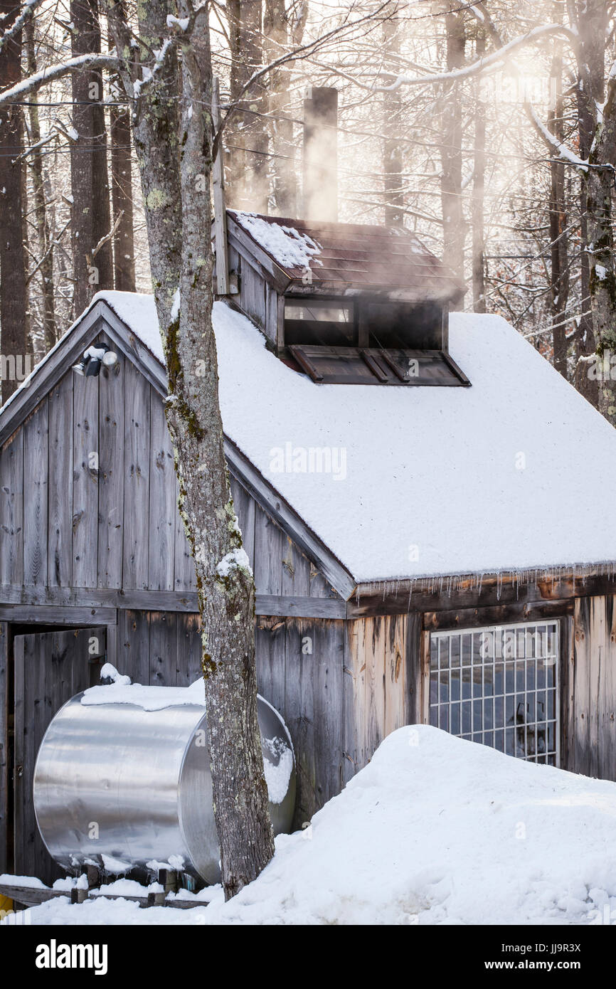 Boiling tree sap hi-res stock photography and images - Alamy