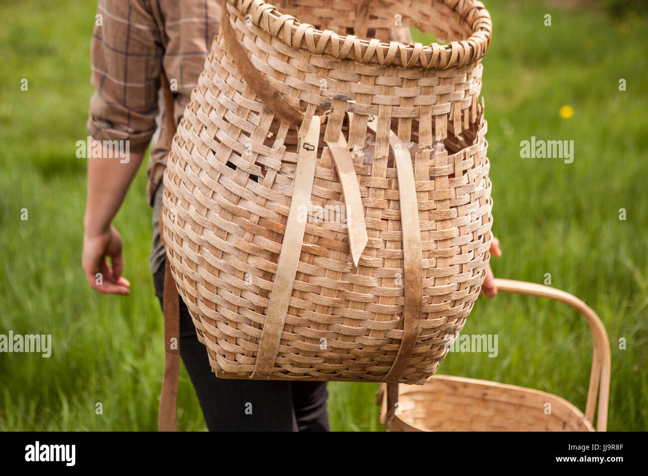 A professional forager wanders through a meadow with her baskets Stock ...