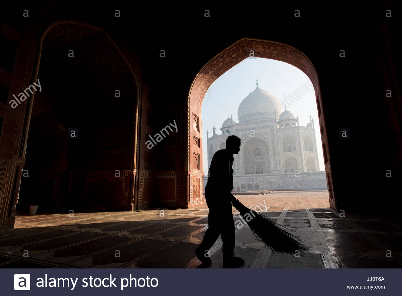 Indian Broom India High Resolution Stock Photography and Images - Alamy