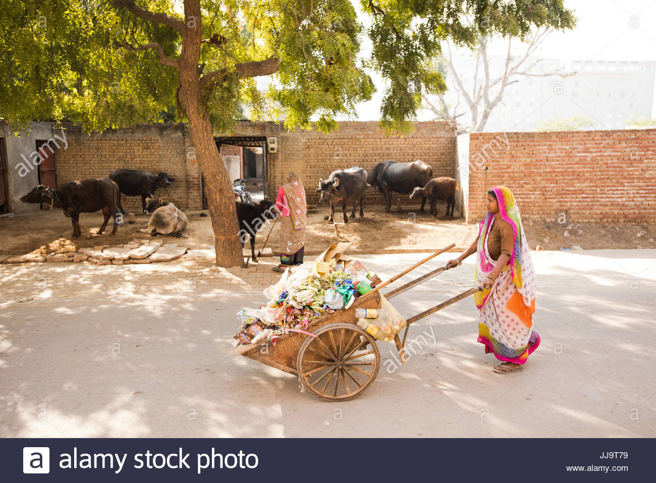 Indian Woman In The Street High Resolution Stock Photography and Images ...
