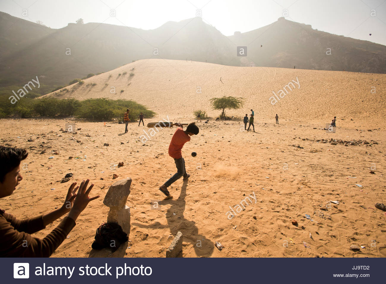 Desert Cricket High Resolution Stock Photography and Images - Alamy