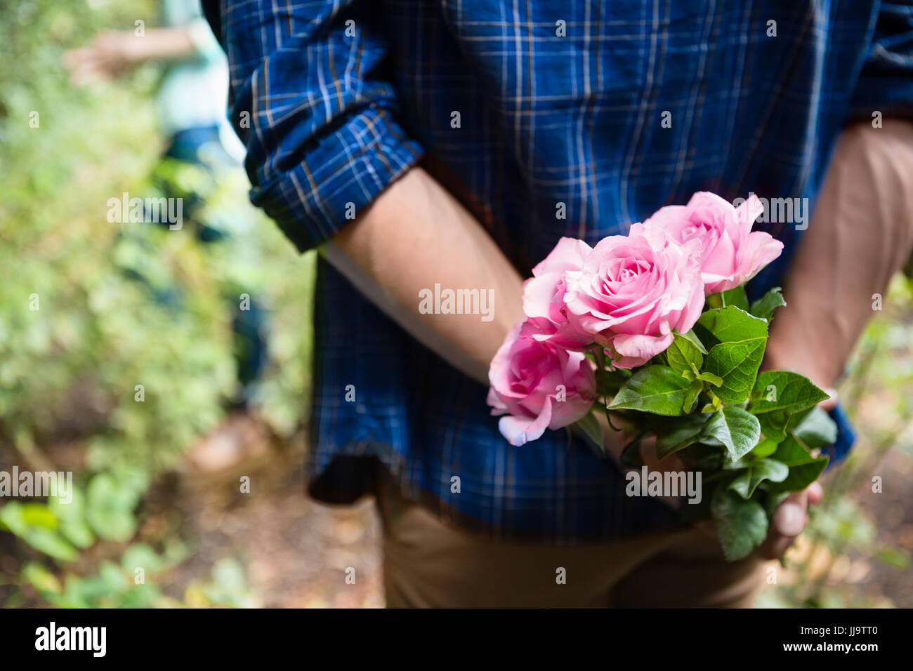 Mid-section of man hiding flowers behind back in garden Stock Photo - Alamy