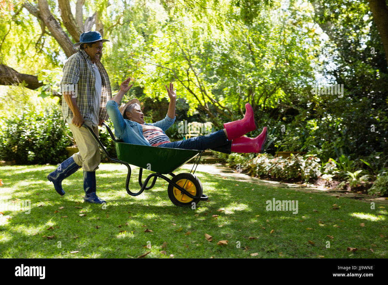Senior man giving woman ride in wheelbarrow in garden Stock Photo - Alamy
