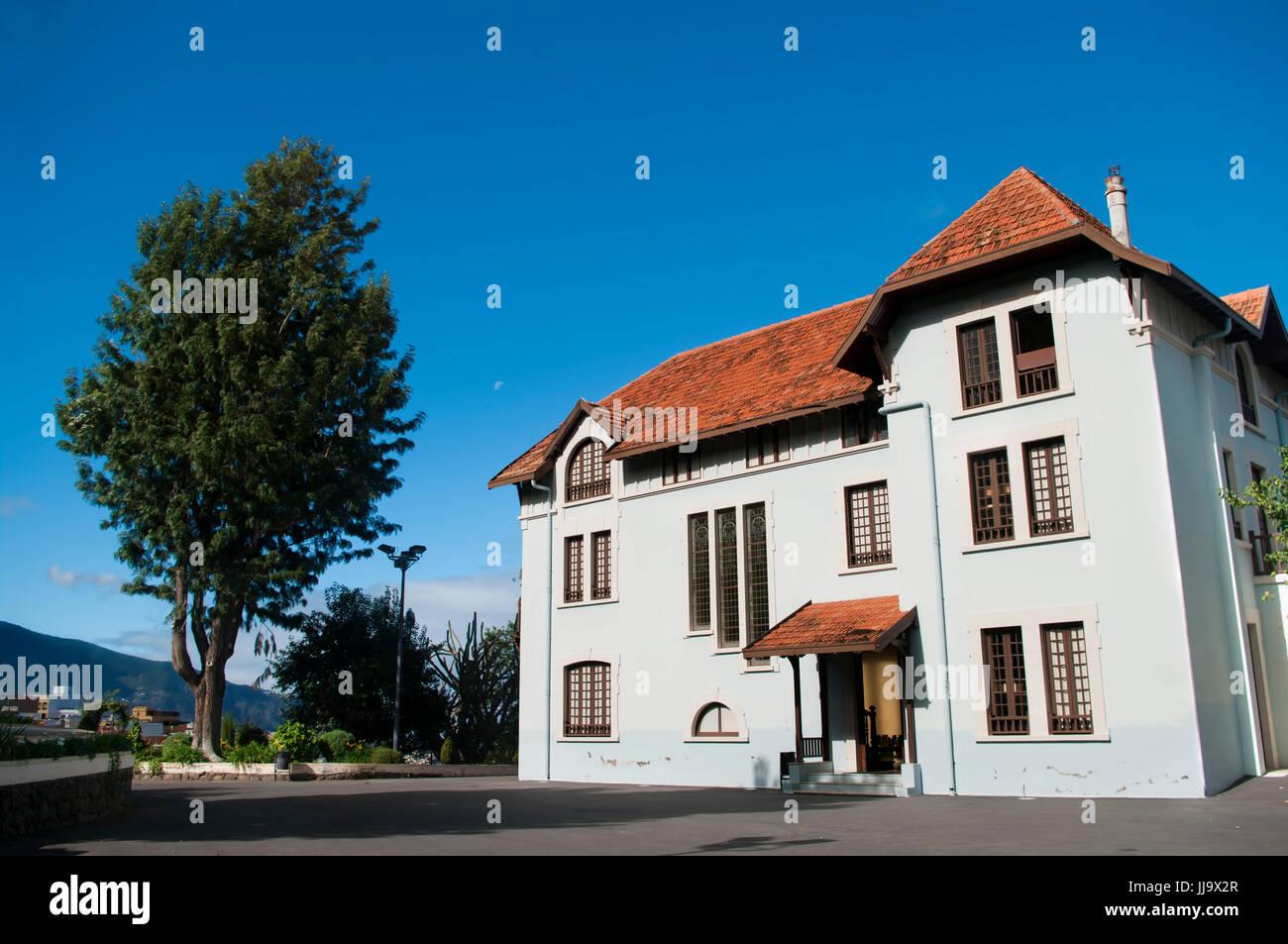 three-storey mansion with a tall tree Stock Photo - Alamy