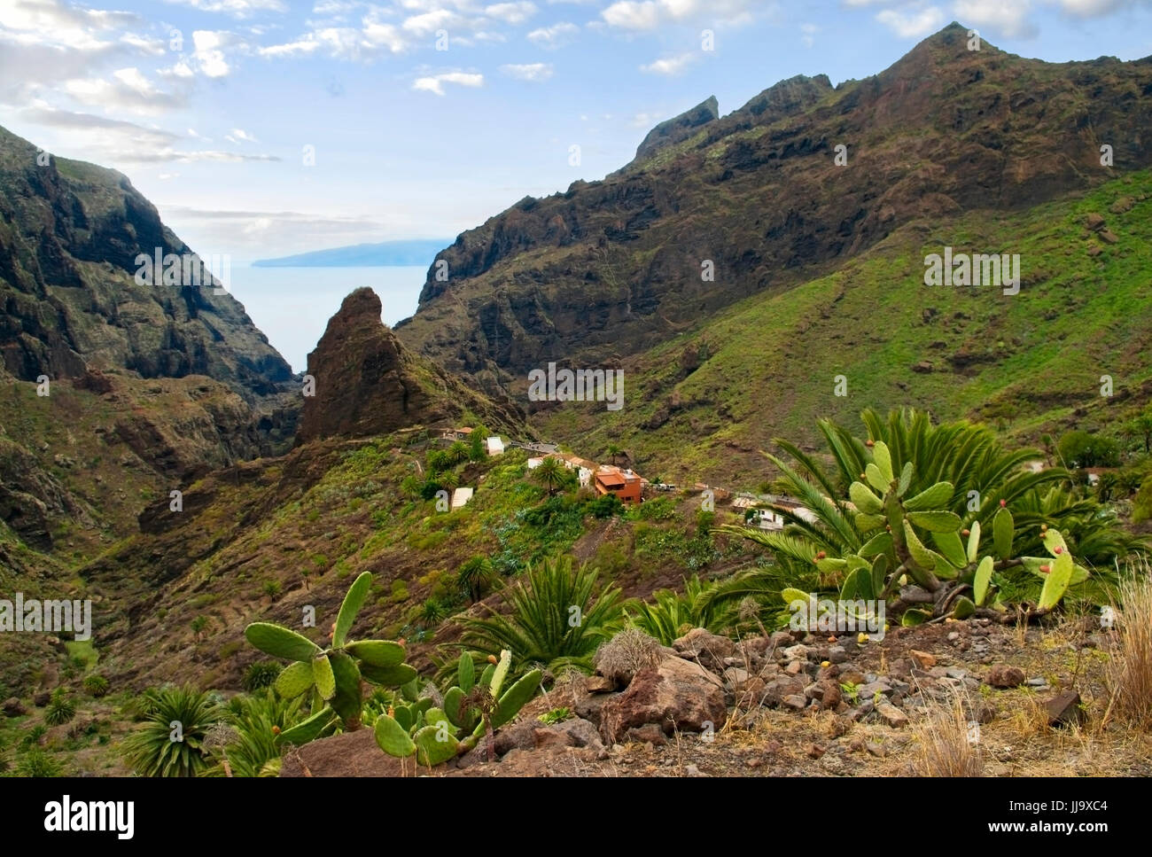 masca valley view in tenerife, the canary islands Stock Photo - Alamy