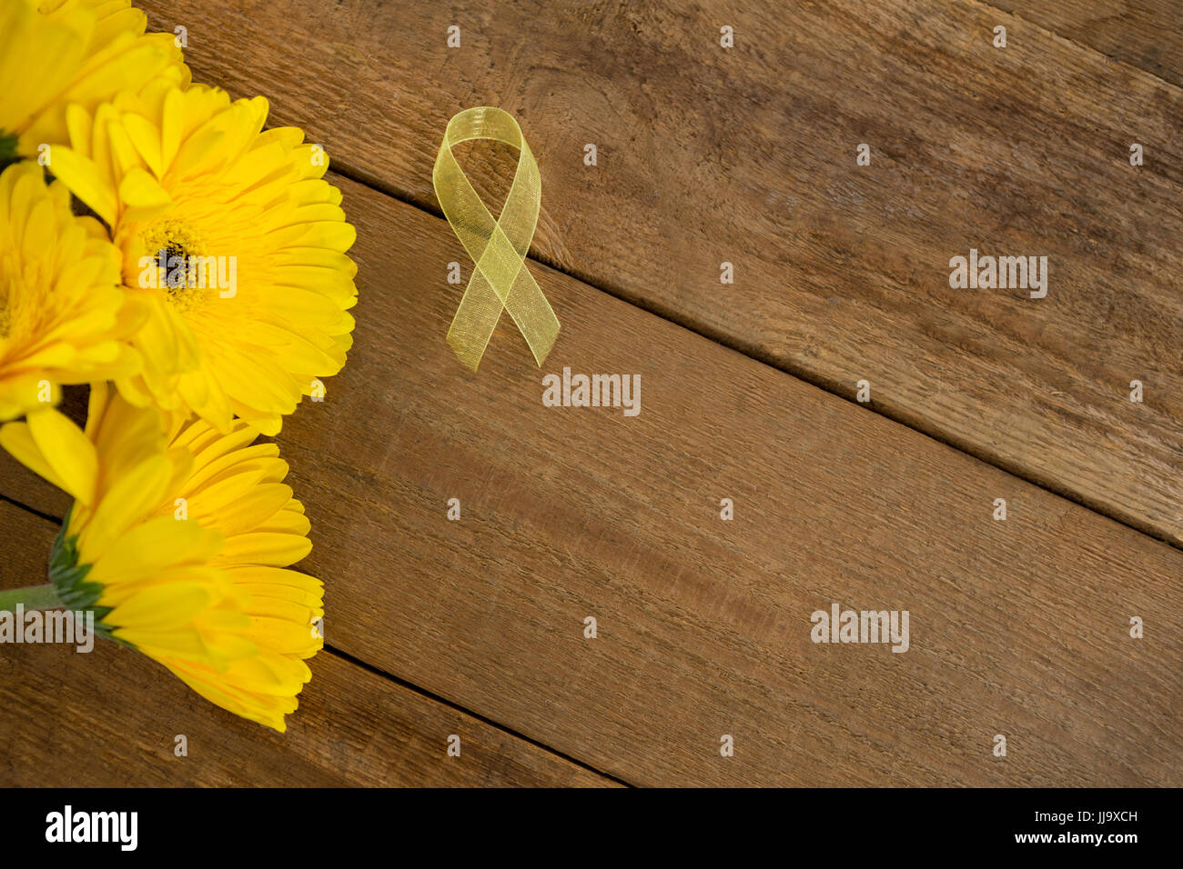 Directly above view of yellow Sarcoma Awareness ribbon by gerbera ...