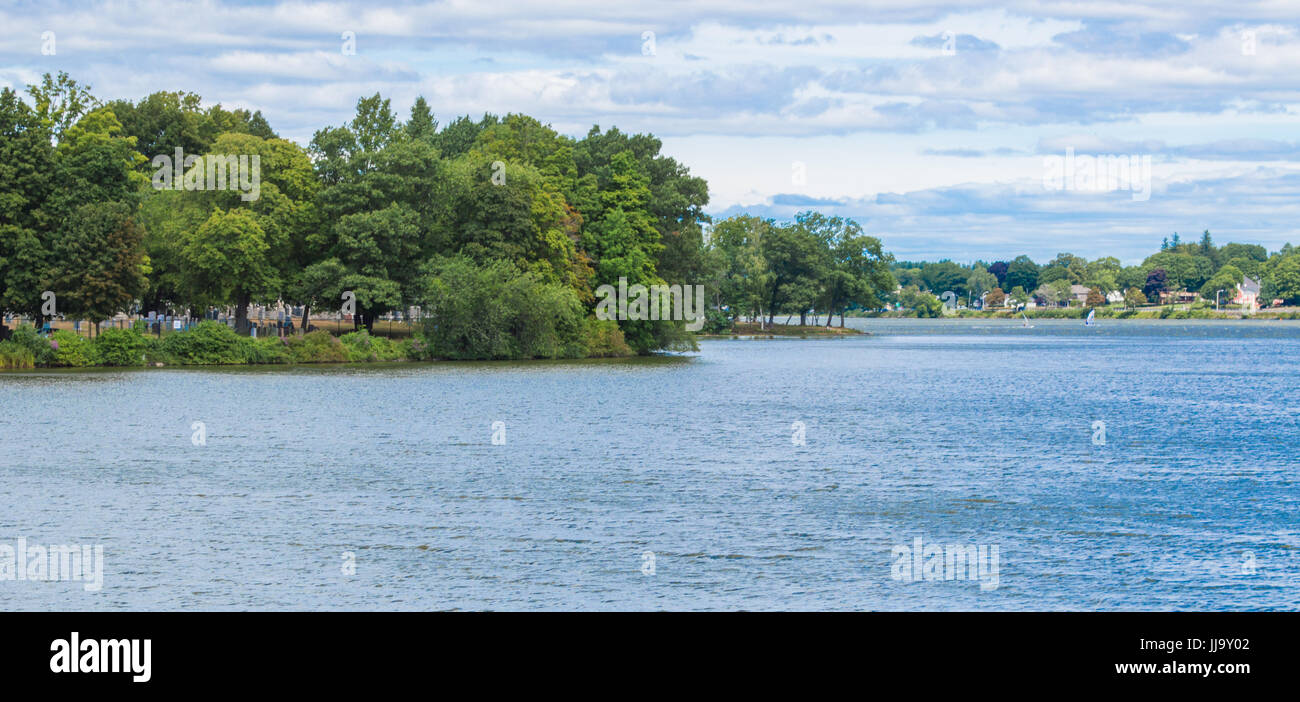 lush greenery along shoreline of Massachusetts lake Stock Photo - Alamy