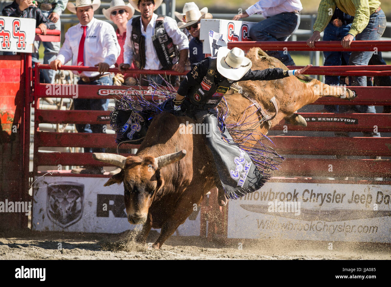 Bareback Riding Stock Photos & Bareback Riding Stock Images - Alamy