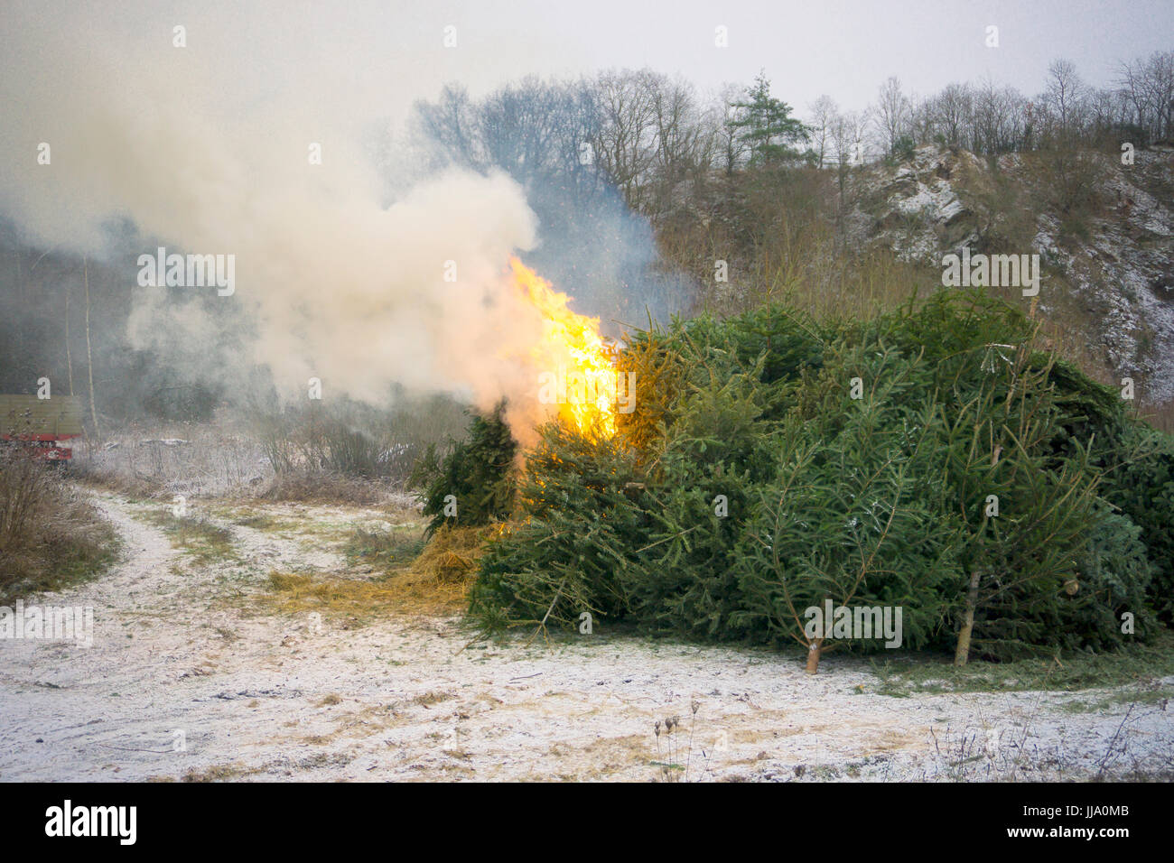 Youth burning christmas trees hi-res stock photography and images - Alamy
