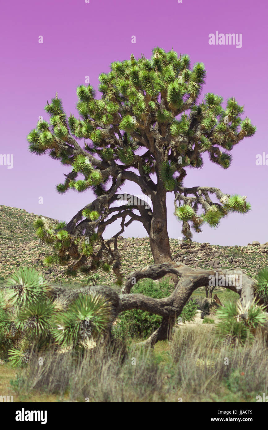 Harsh place hi-res stock photography and images - Alamy