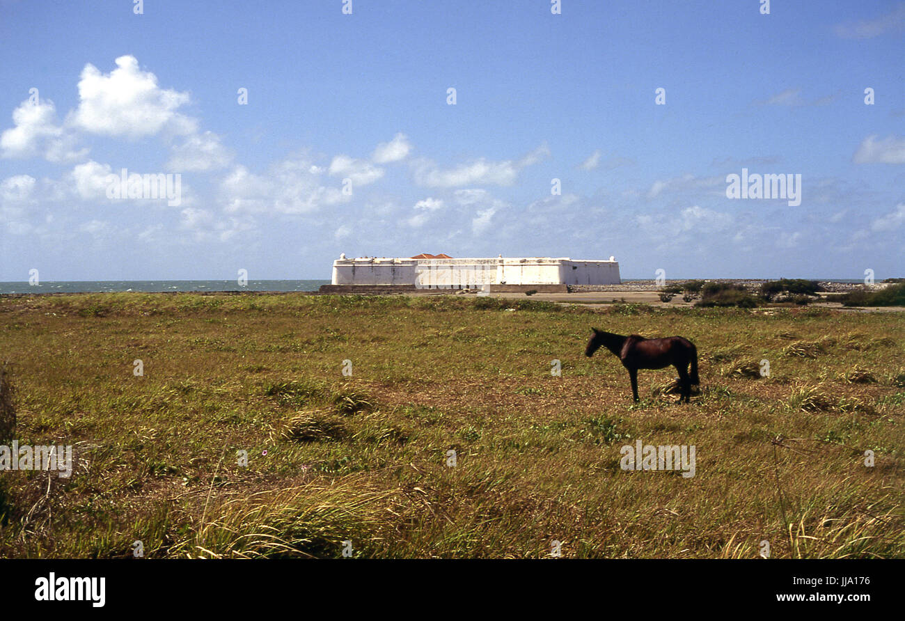 Fort of the magi hi-res stock photography and images - Alamy