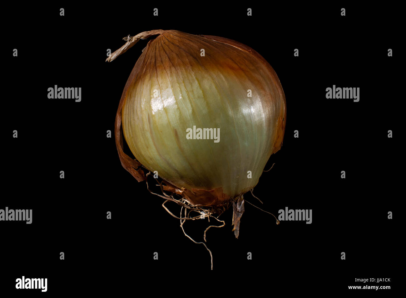 One sliced onion hi-res stock photography and images - Alamy