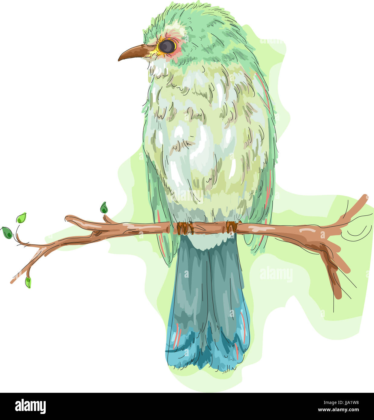 Animal Illustration Featuring a Colorful Bird Perched on a Tree Branch ...