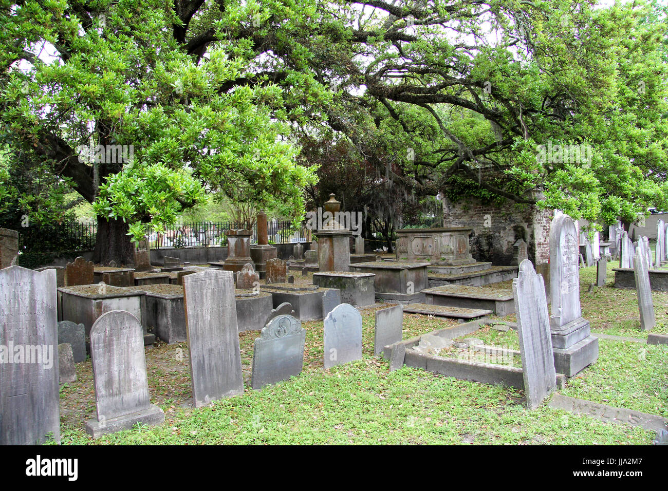 Magnolia cemetery hi-res stock photography and images - Alamy
