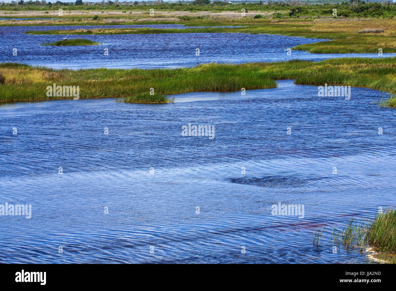 Estuary brackish water hi-res stock photography and images - Alamy