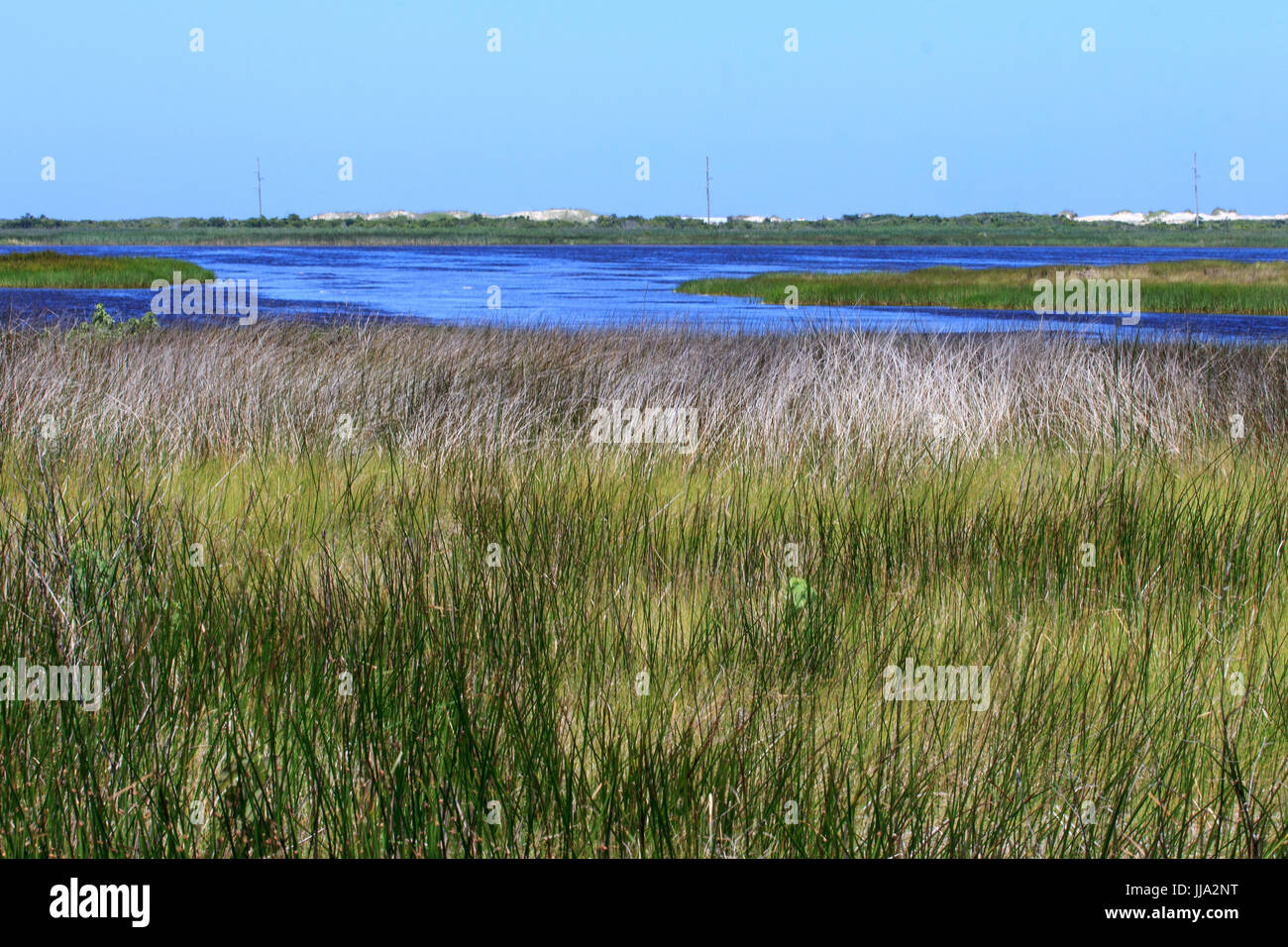Salt water Tidal Marsh Estuary with marsh grass and blue salt water ...