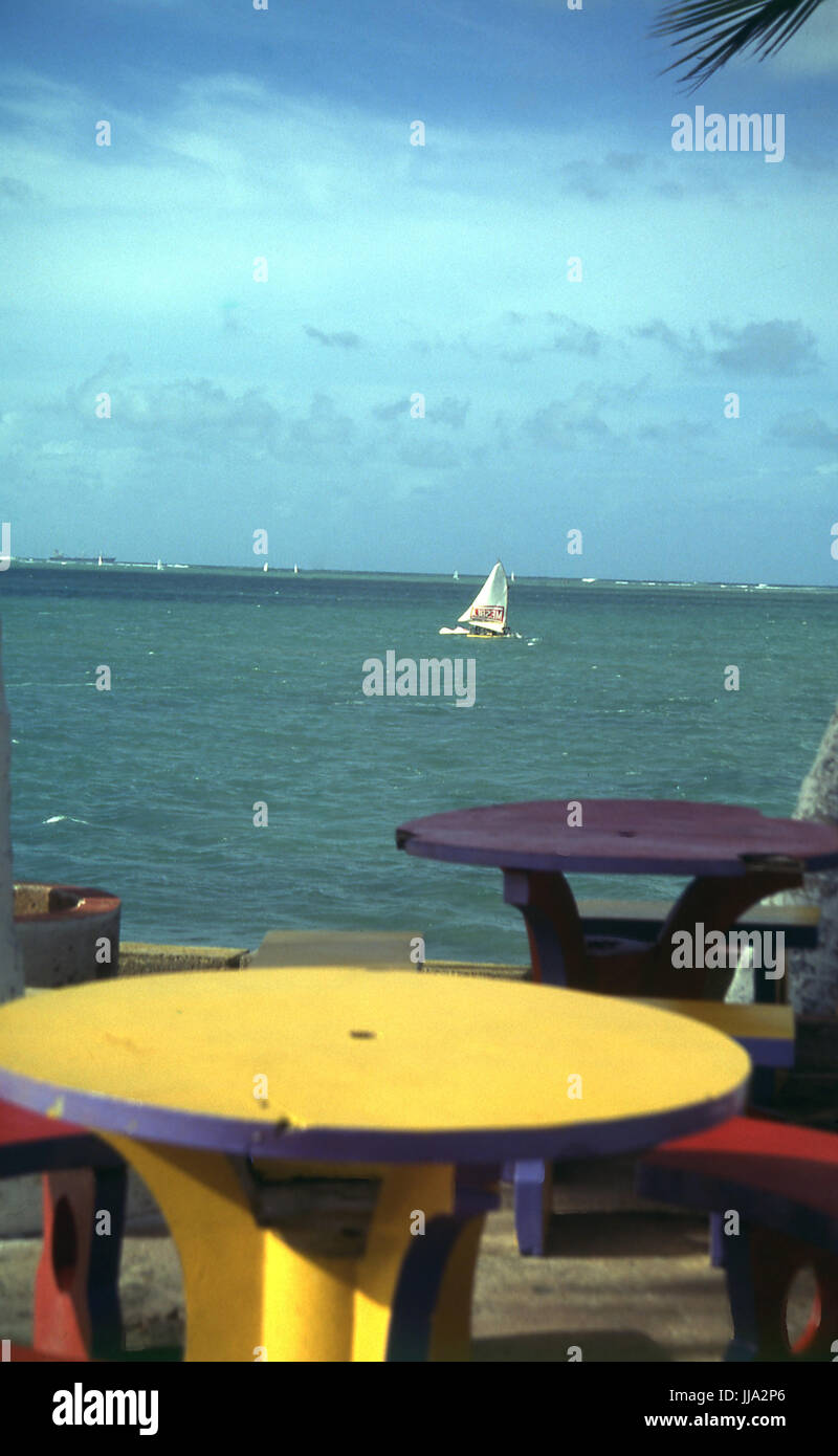 Beach of the Seven coconut trees; Alagoas; Maceió; Brazil Stock Photo ...