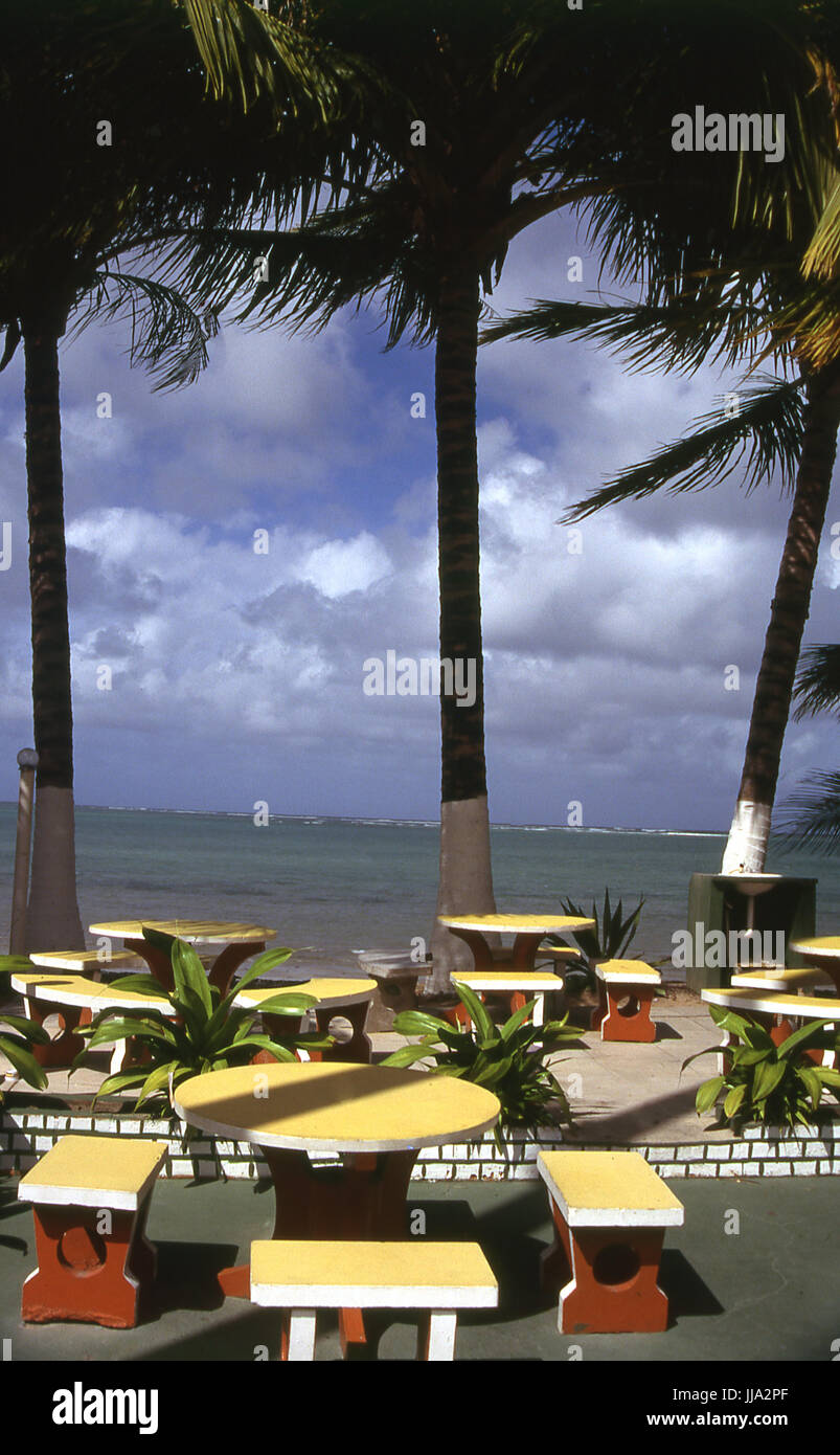 Beach of the Seven coconut trees; Alagoas; Maceió; Brazil Stock Photo ...