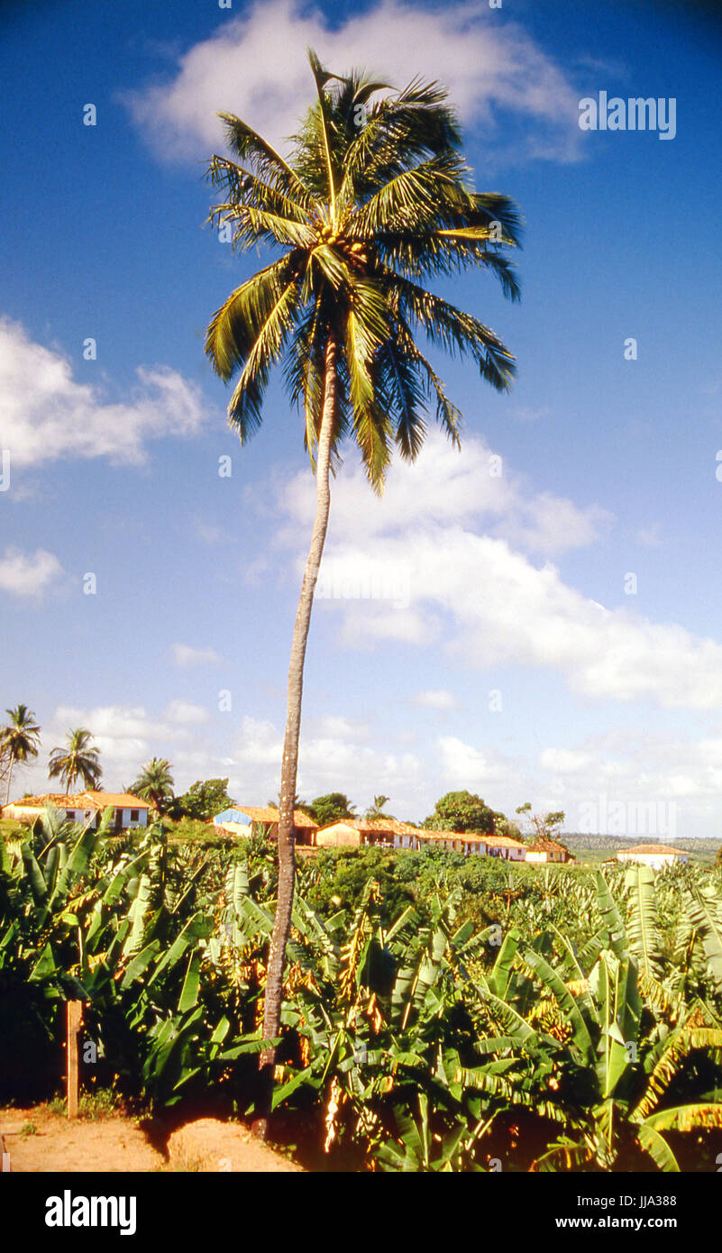 Alcantara, Maranhao, Brazil Stock Photo - Alamy