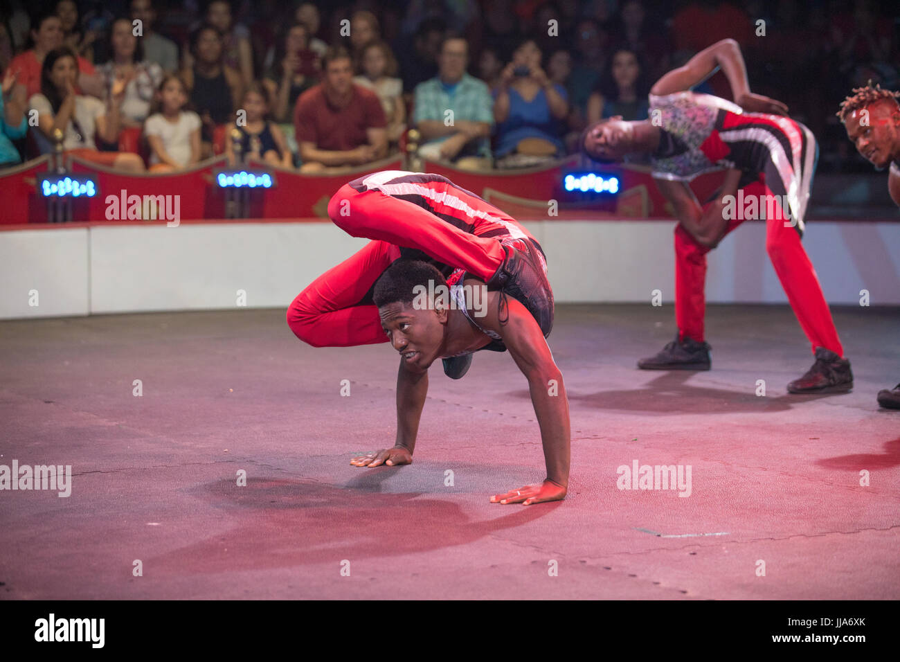 Members of the contortionist group the Bone Breakers from Conakry ...