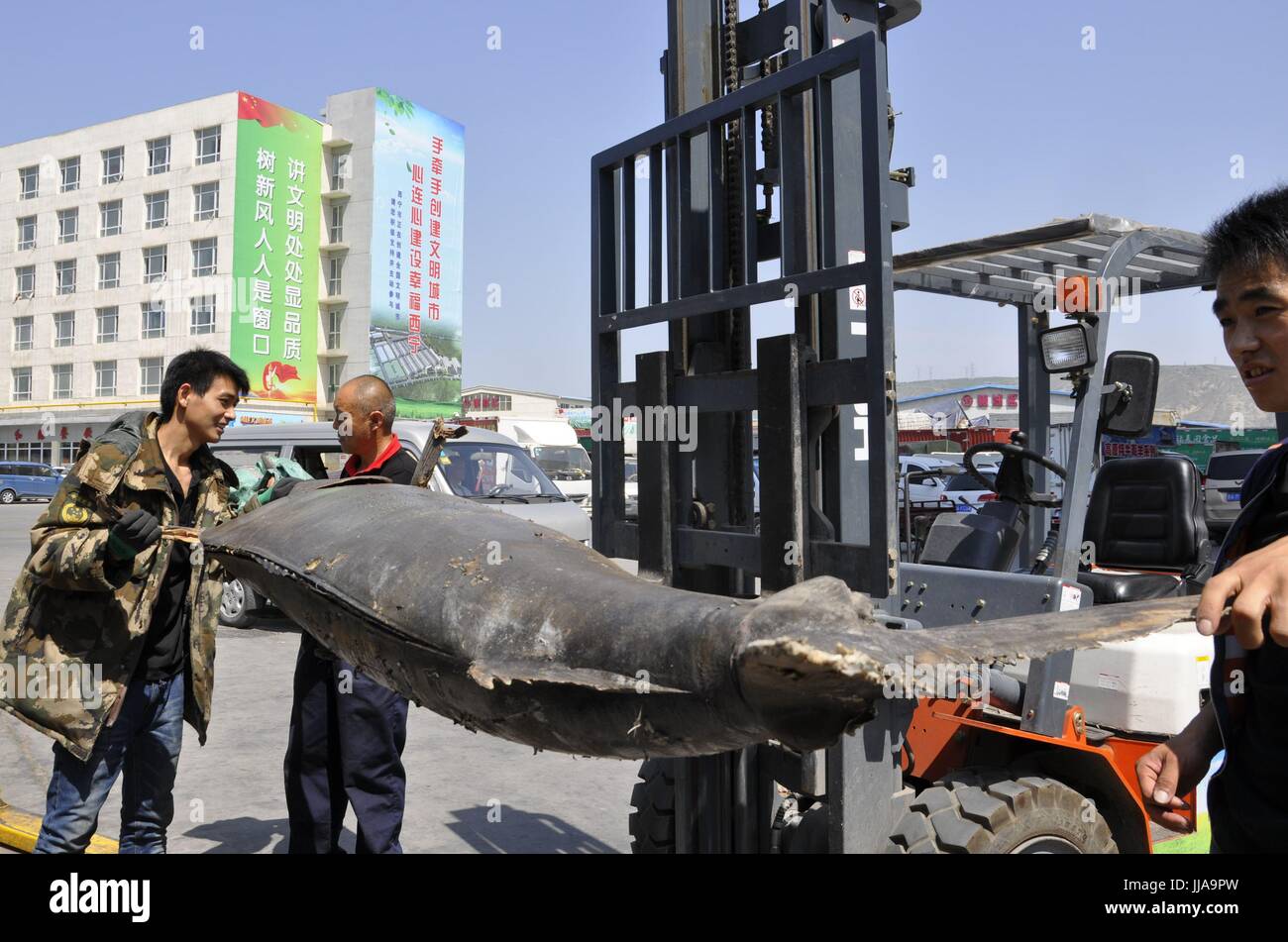 Giant marlin hi-res stock photography and images - Alamy