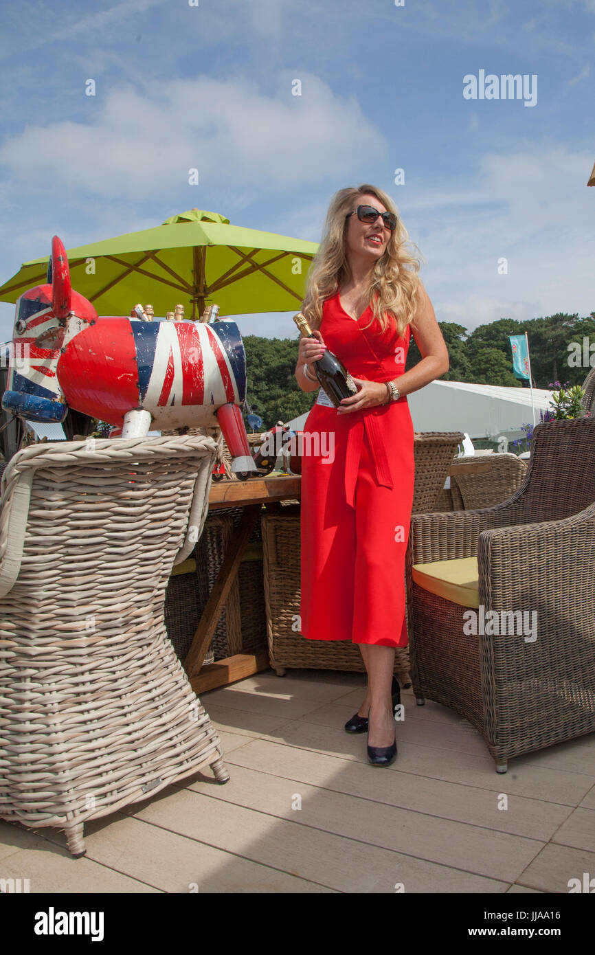 Debbie Garner-Jones with metal tin bull exhibit at Tatton Park Flower ...