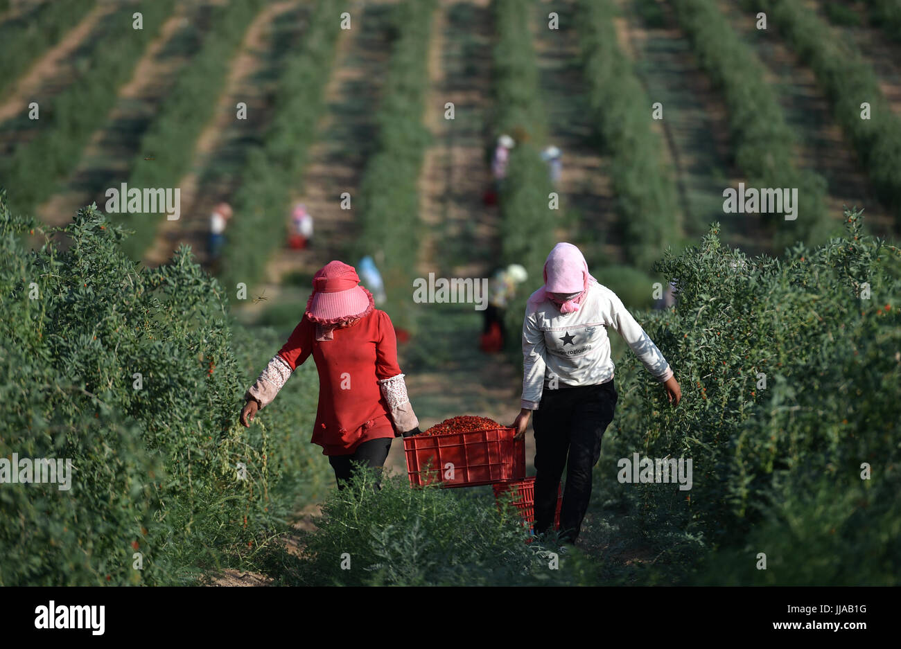 93 hectares hi-res stock photography and images - Alamy