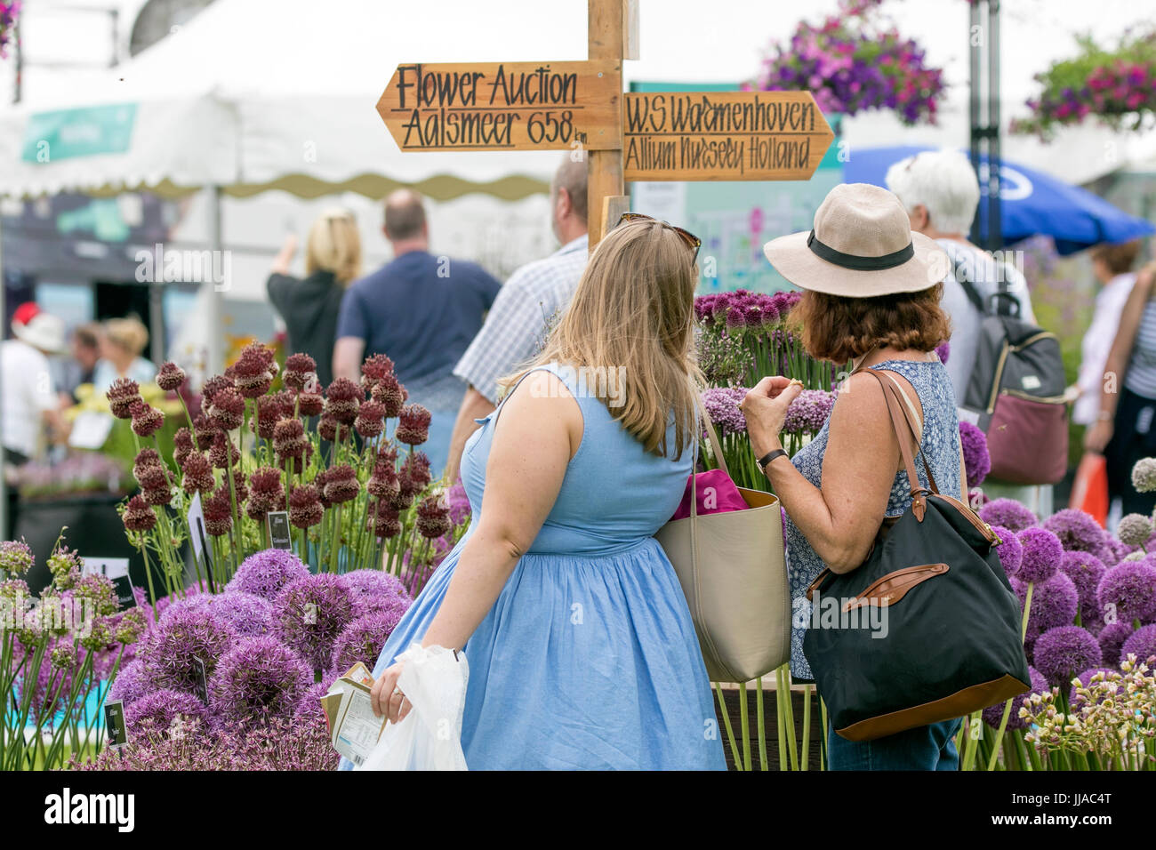 Rhs Tatton Park Flower Show Knutsford Cheshire 19th July 2017 The