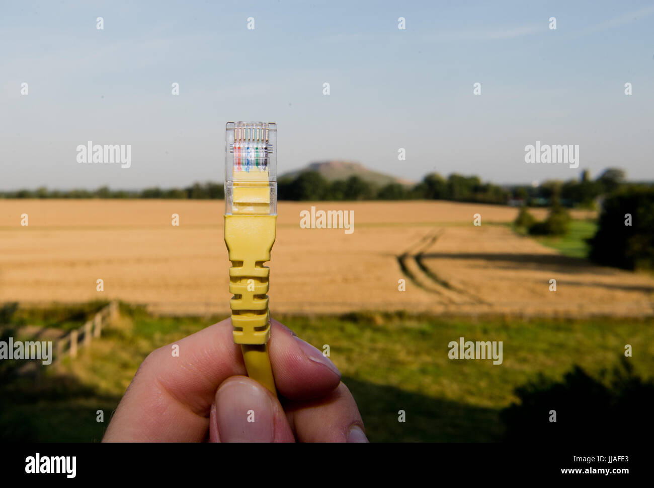 ILLUSTRATION - A network cable of a DSL-Router is being held in front ...