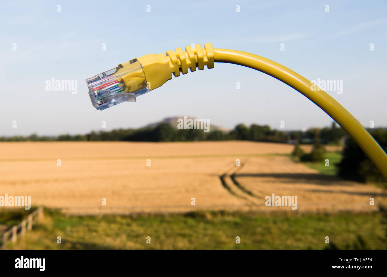 ILLUSTRATION - A network cable of a DSL-Router is being held in front ...