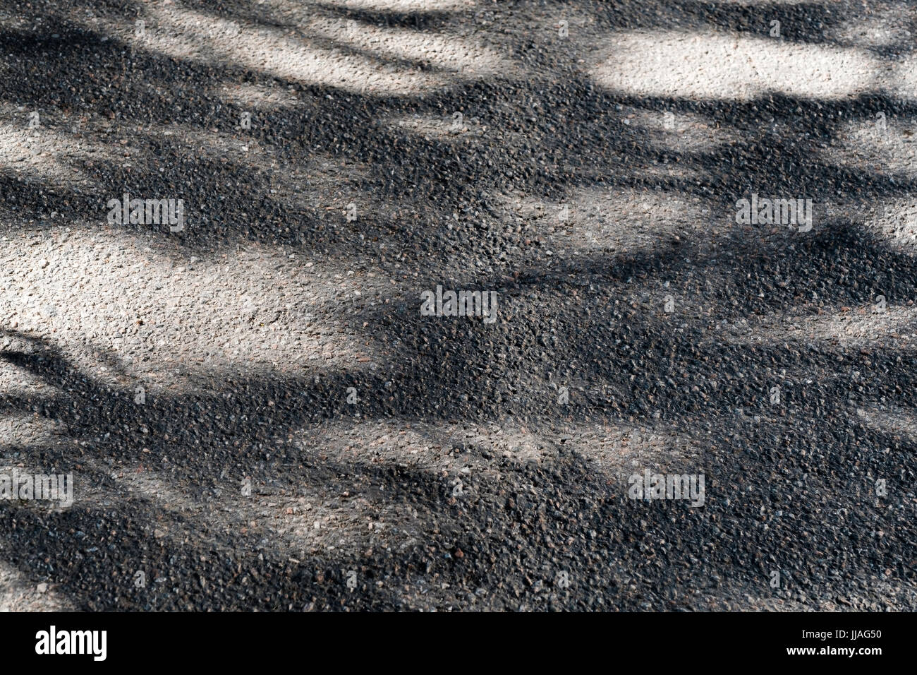 the shadow of deciduous tree on the sunny pavement. Abstract background ...