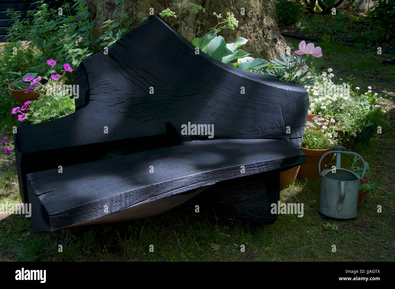 Split tree hi-res stock photography and images - Alamy