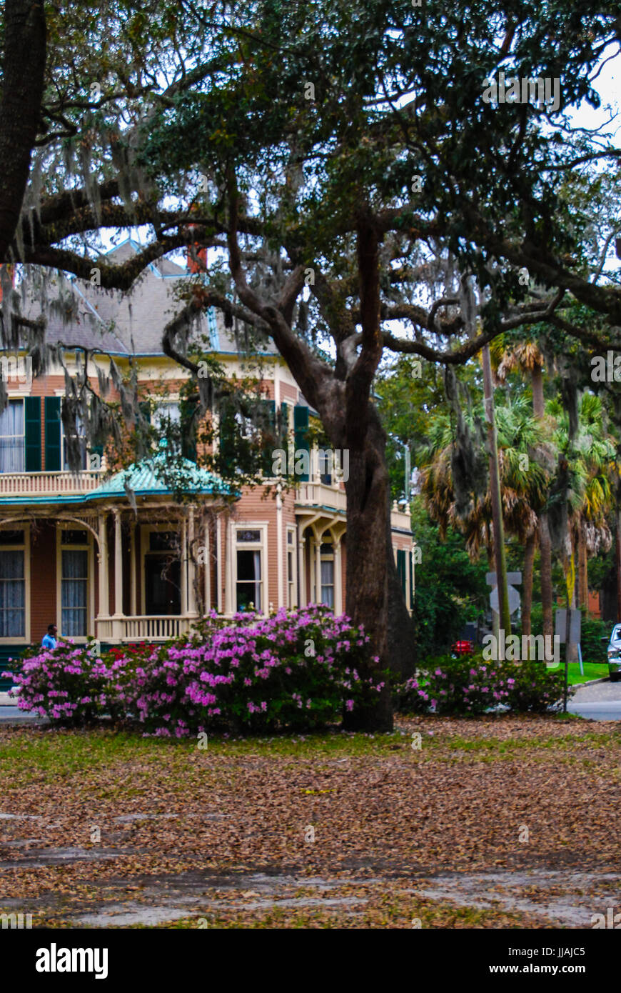 Southern home spanish moss hi-res stock photography and images - Alamy