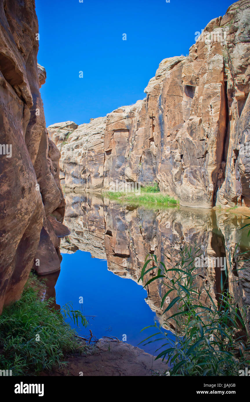 Water hole in desert hi-res stock photography and images - Alamy