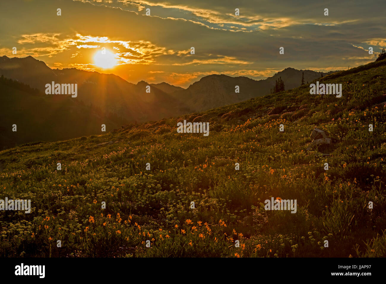 Wasatch mountains sunset utah hi-res stock photography and images - Alamy