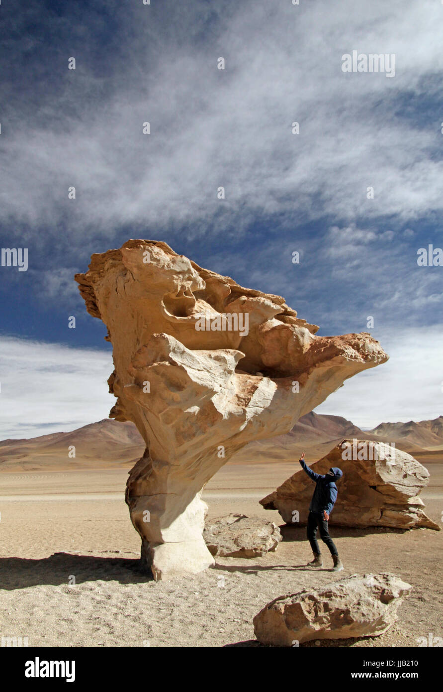 Man standing under stone tree in Uyuni, Bolivia Stock Photo - Alamy