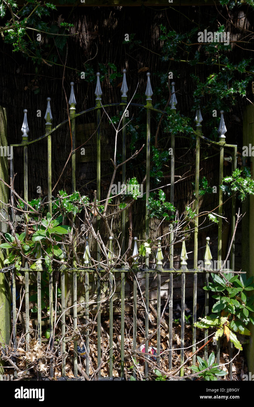 Wrought Iron gate overgrown with foliage whitefield bury lancashire uk ...