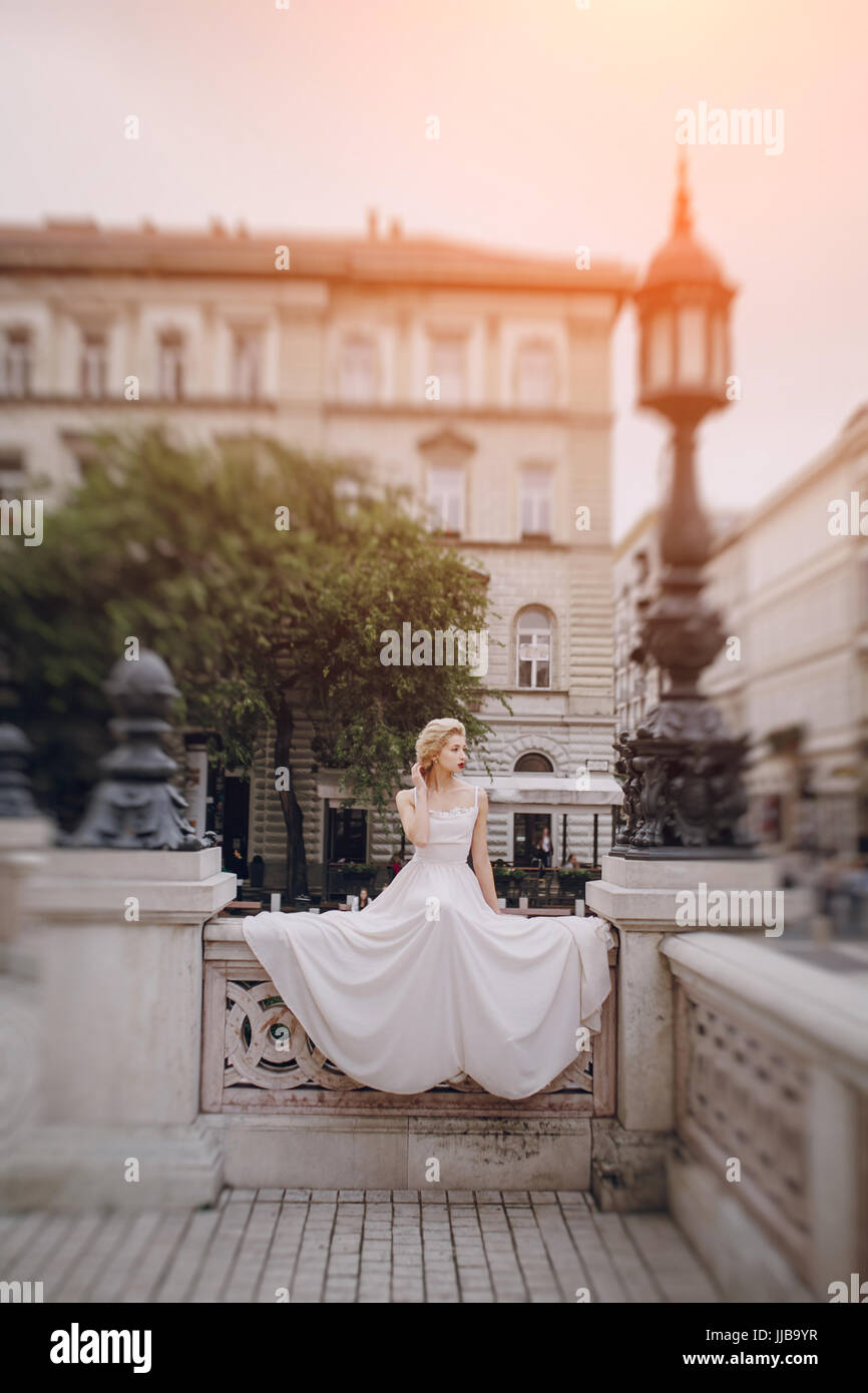 wedding day in Budapest Stock Photo - Alamy