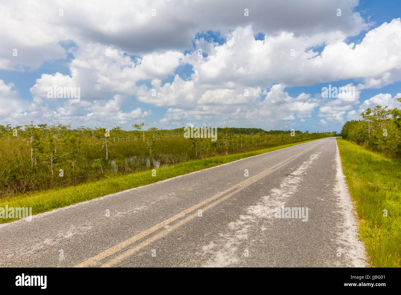 Everglades state national park hi-res stock photography and images - Alamy