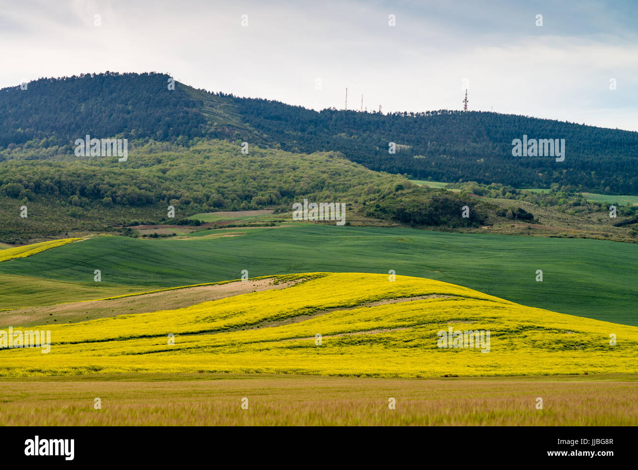 Camino de santiago trail frances hi-res stock photography and images ...